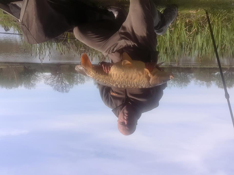 Fully scaled | Total Carp